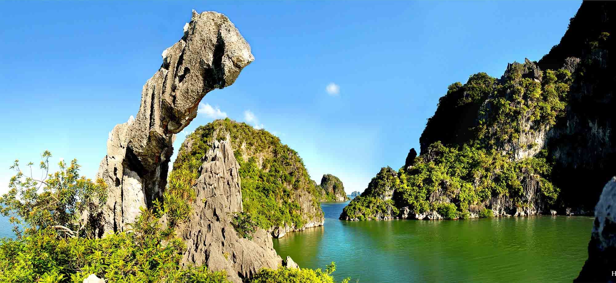 Absolute Vietnam DMC